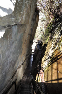 Caesars Head State Park: South Carolina’s Ultimate Destination for Fall