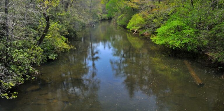 Explore High Falls – Hiking, Views & Covered Bridge Guide